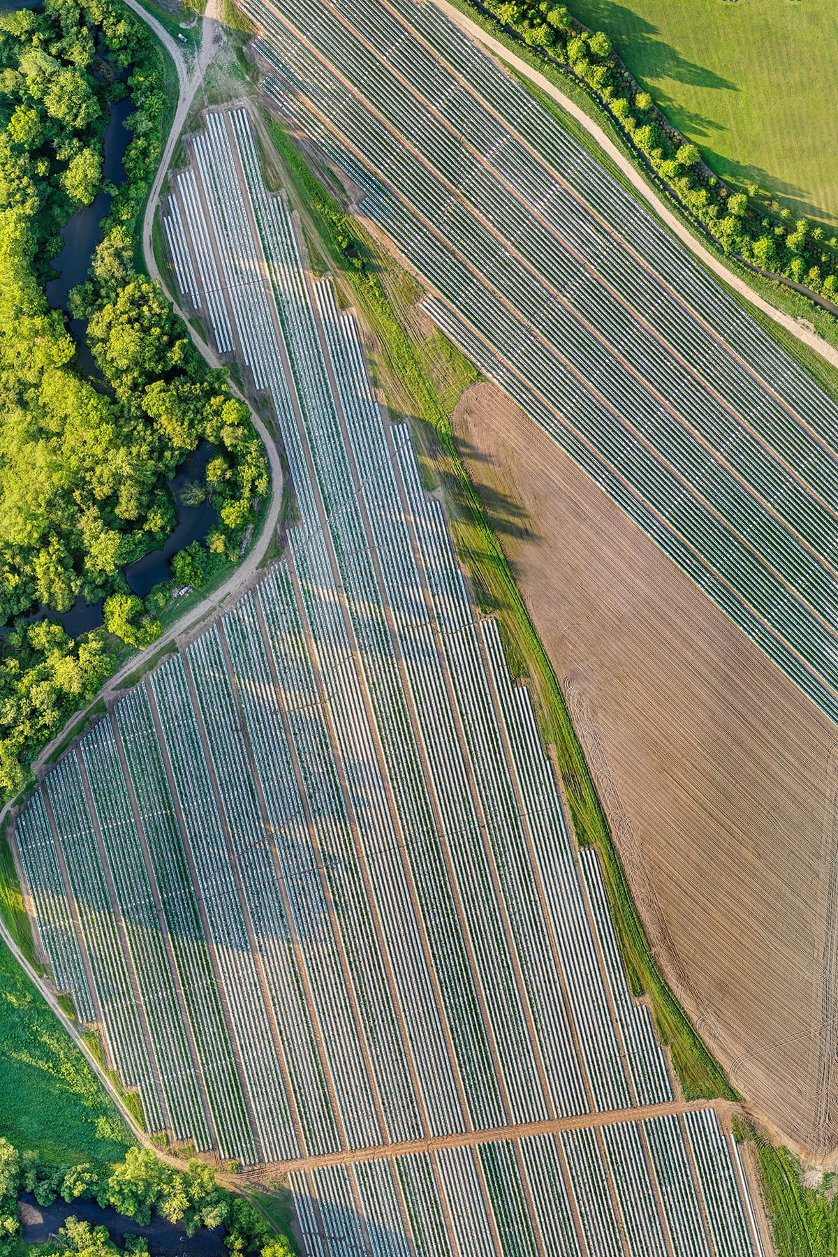 Portfolio, Drone and Aerial: Orthomosaic Mapping